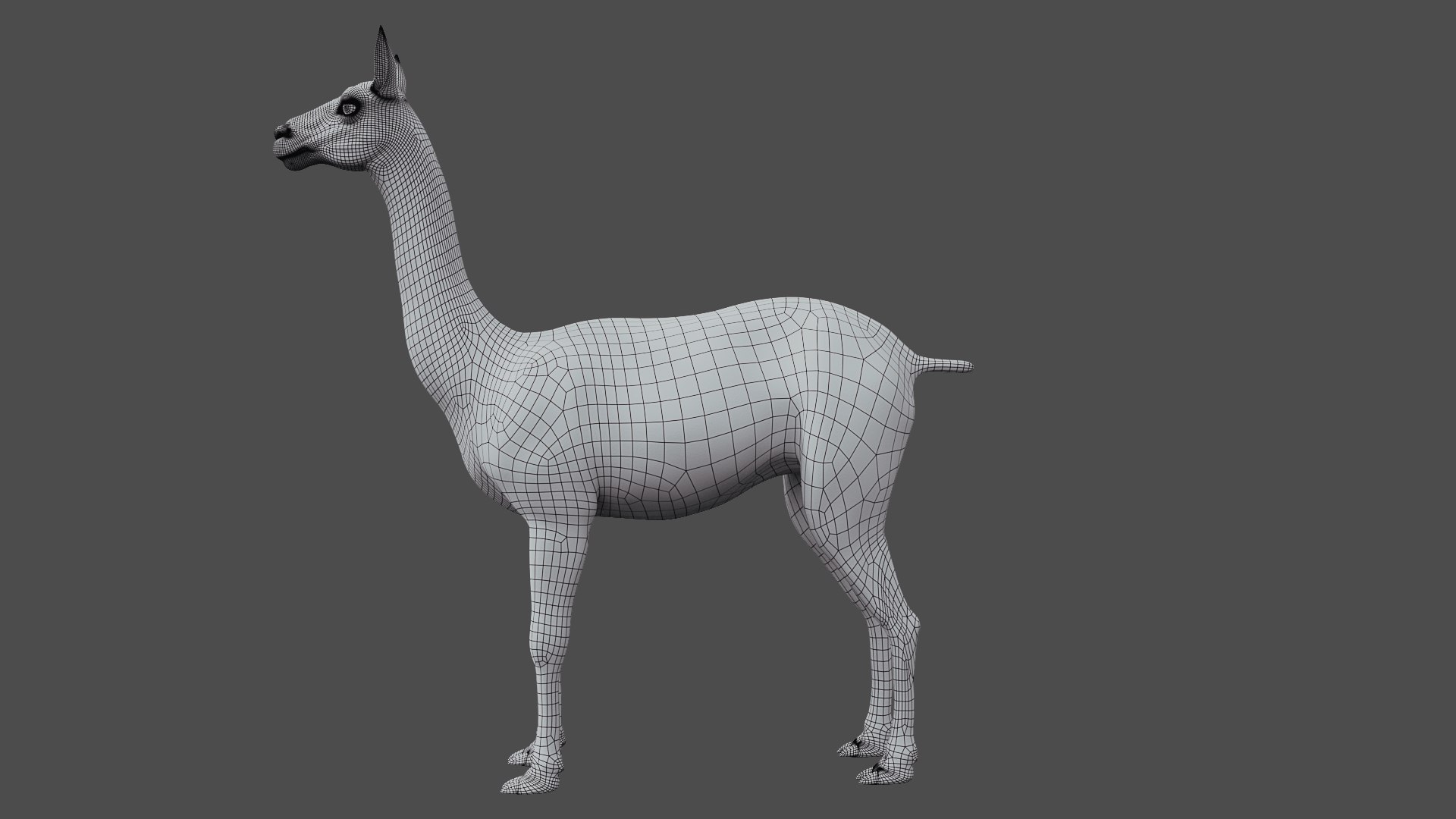 Alpaca 3D Model - TurboSquid 2010399