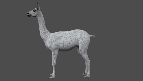 Alpaca 3D model - TurboSquid 2010399