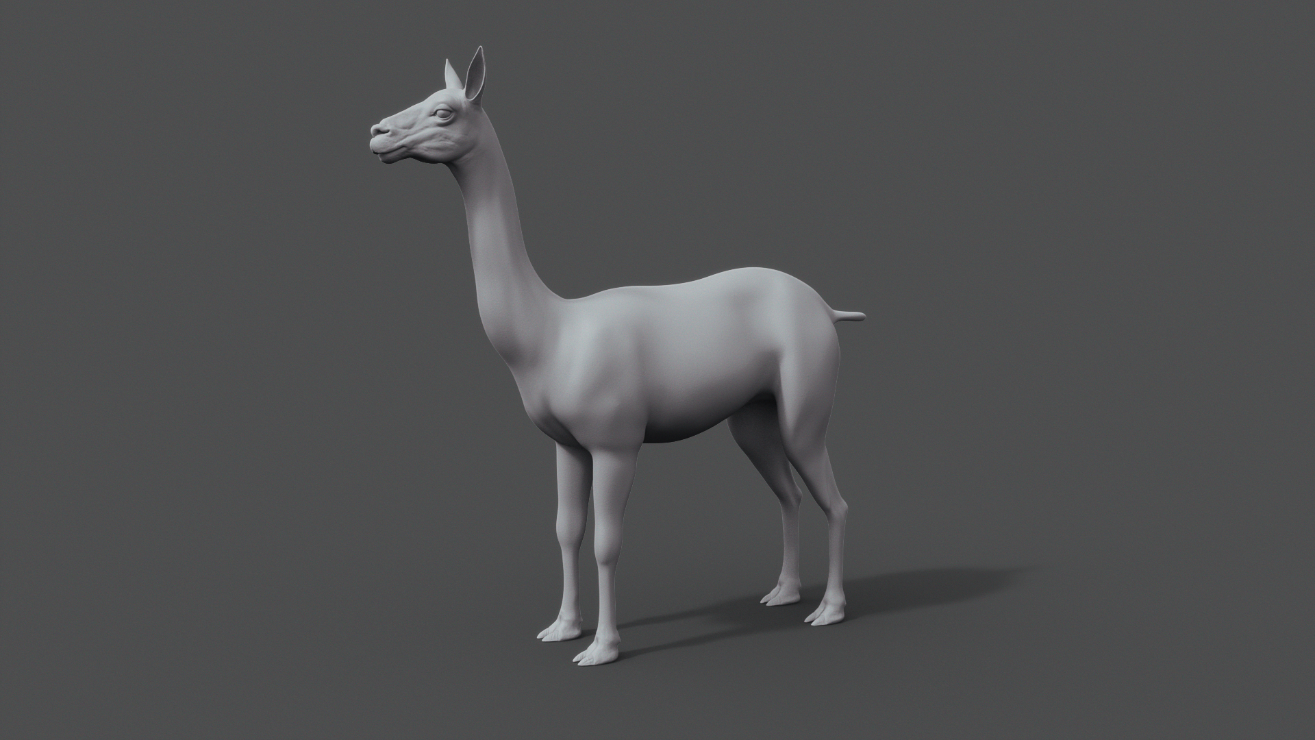 Alpaca 3D Model - TurboSquid 2010399