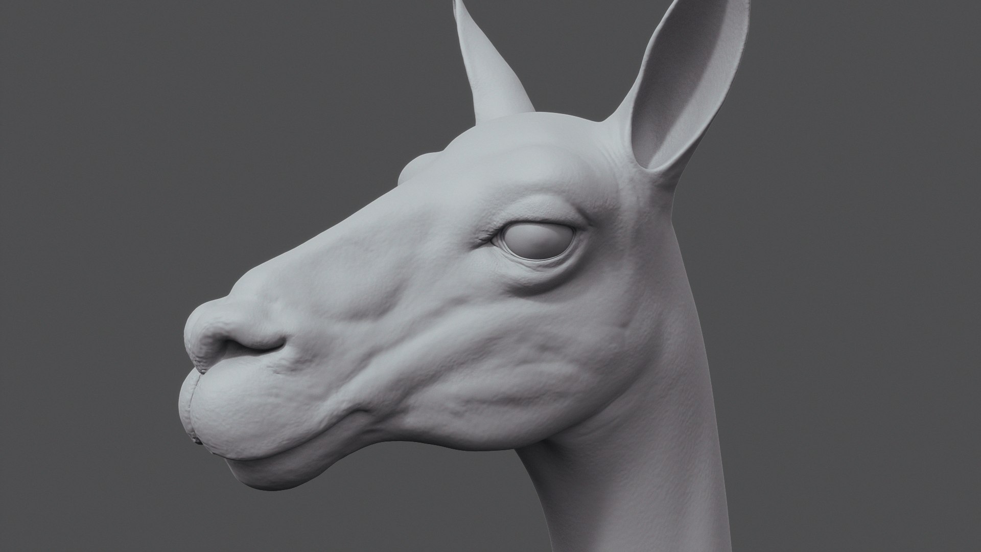 Alpaca 3D Model - TurboSquid 2010399