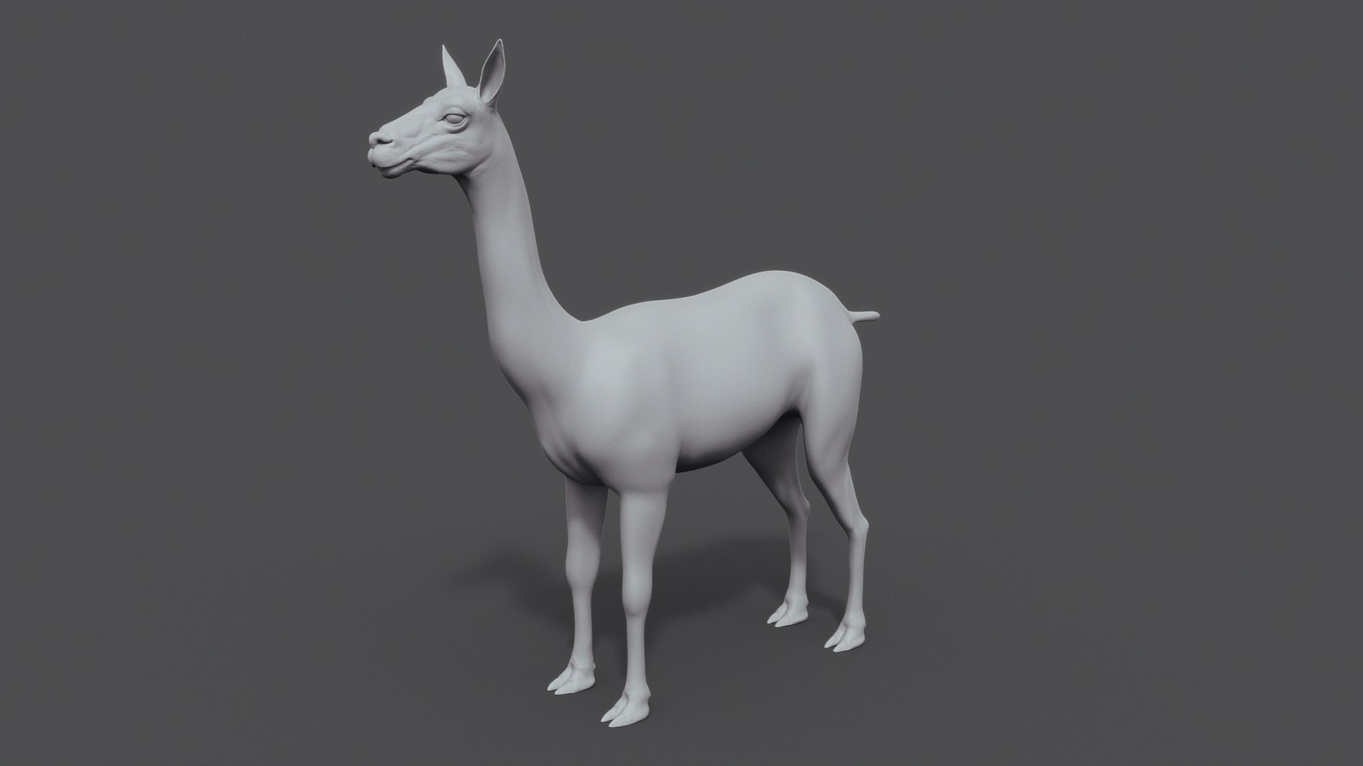 Alpaca 3D Model - TurboSquid 2010399