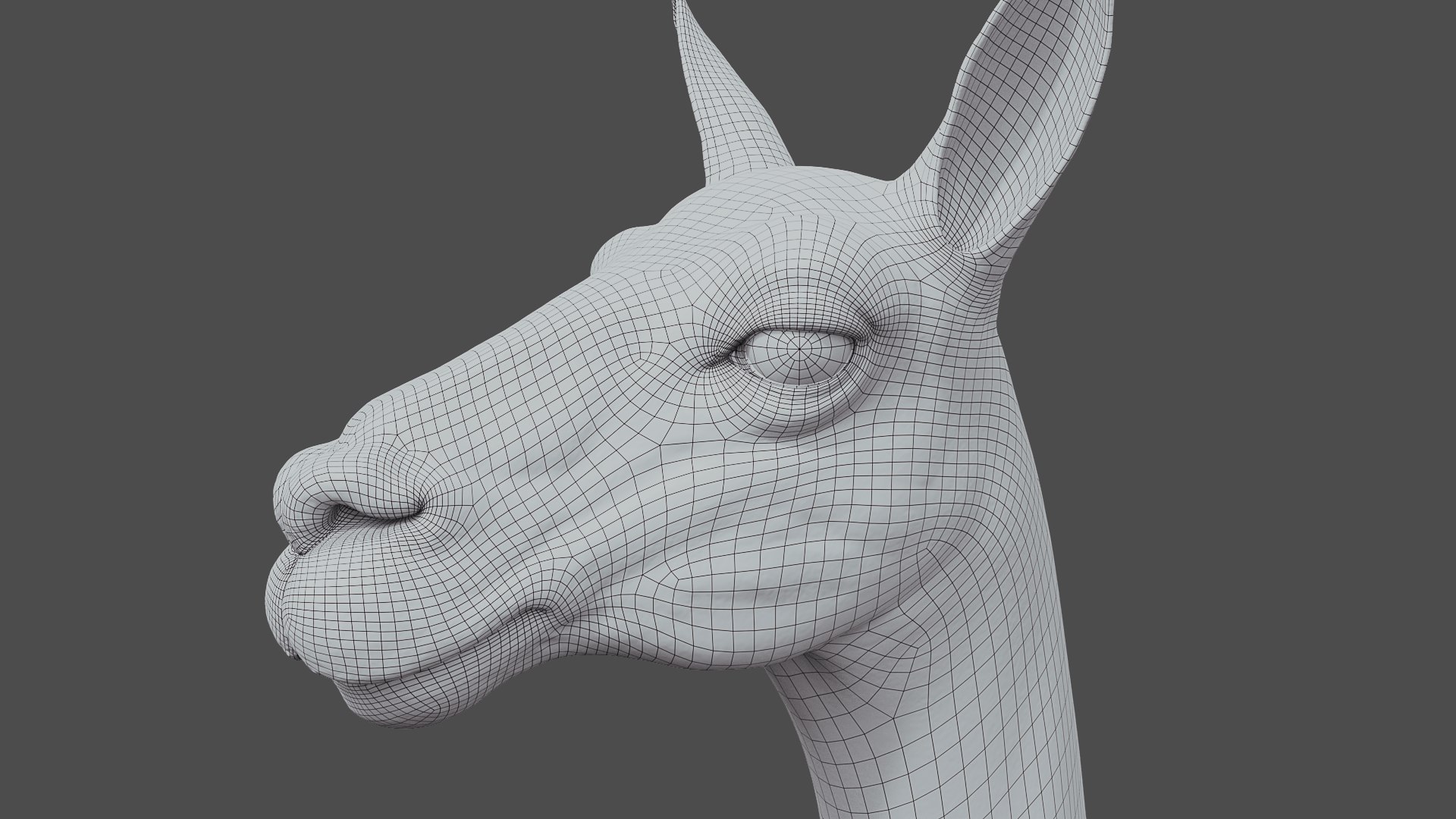 Alpaca 3D Model - TurboSquid 2010399