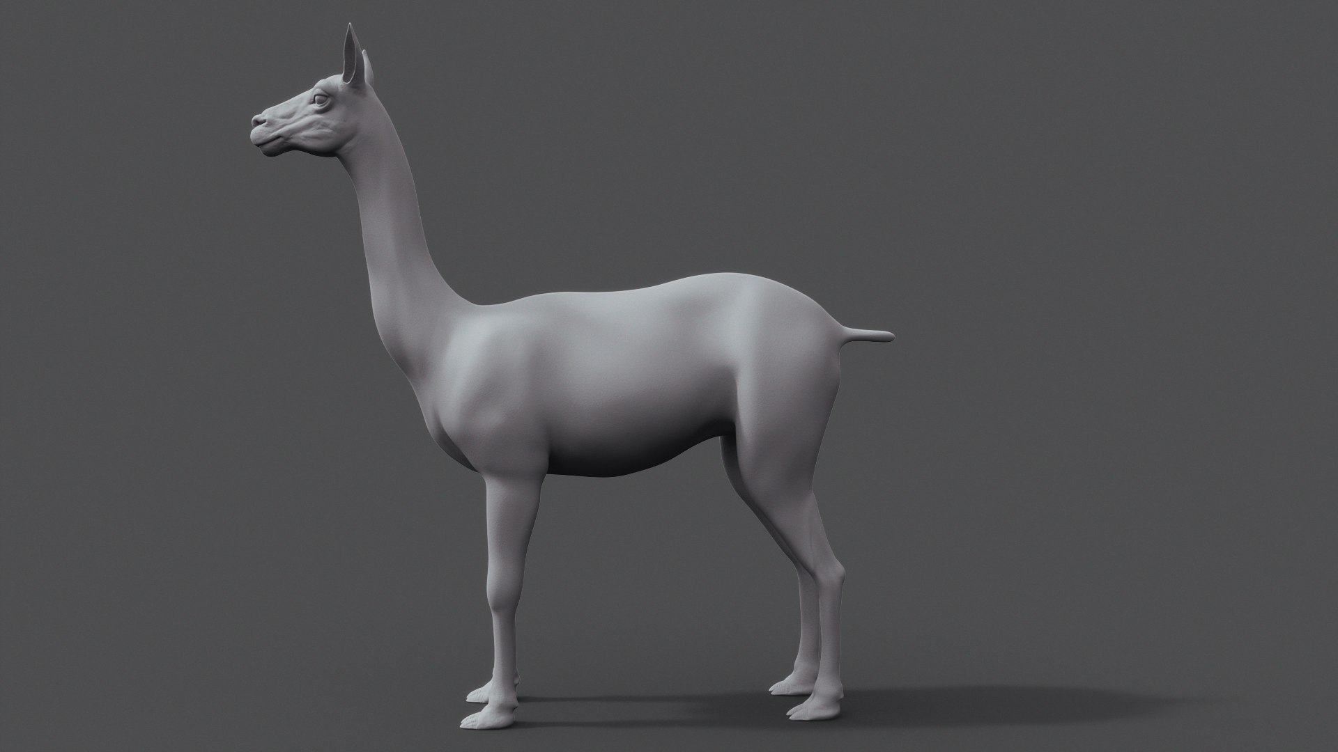Alpaca 3D Model - TurboSquid 2010399
