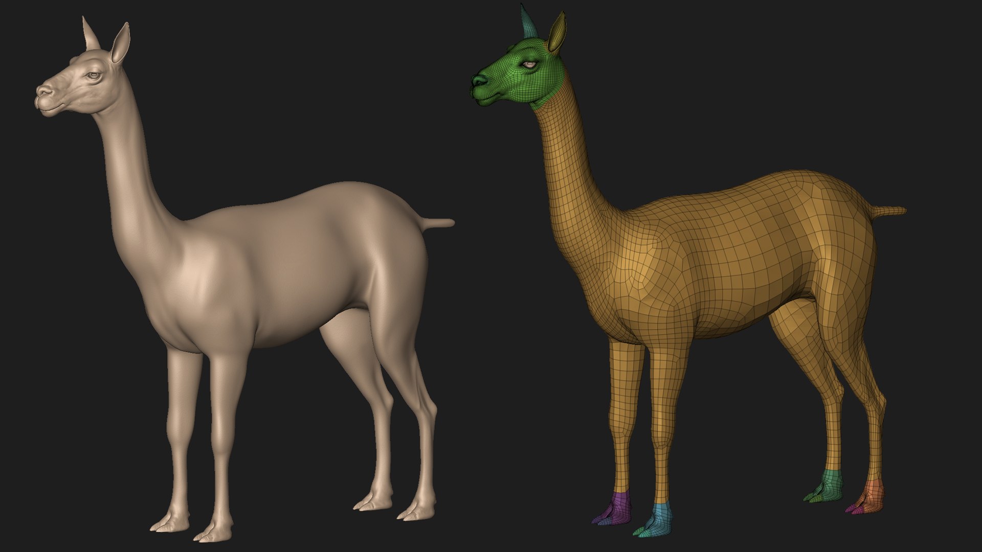 Alpaca 3D Model - TurboSquid 2010399