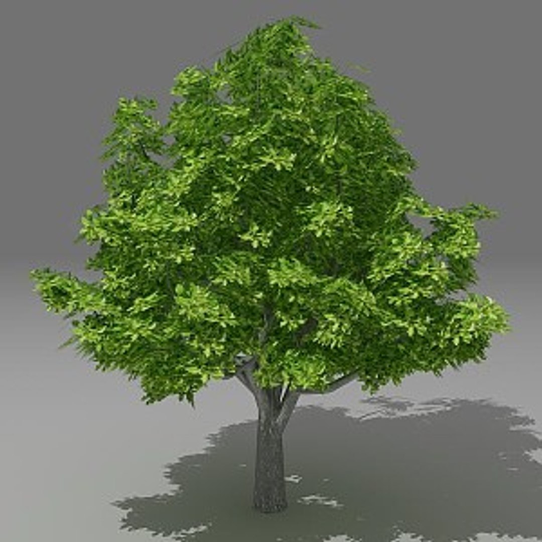 Tree 3d Max