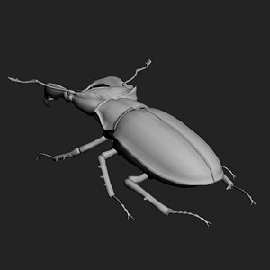 Invertebrate 3D Models for Download | TurboSquid