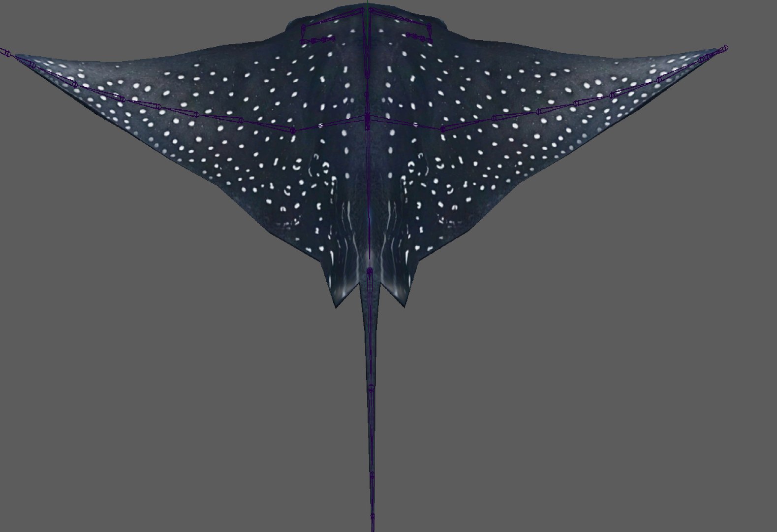 Manta Ray Rigged 3D model - TurboSquid 1895089