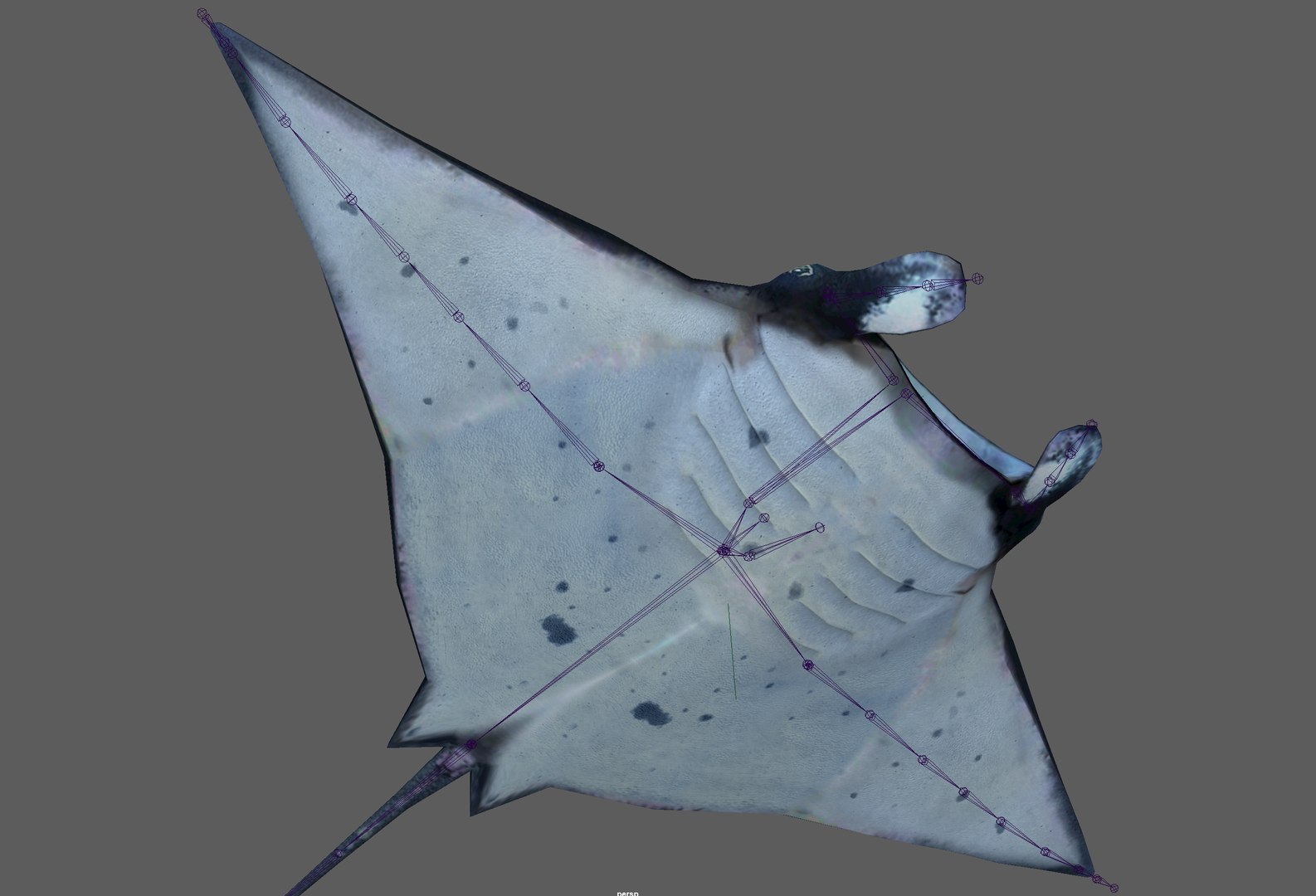 Manta Ray Rigged 3D model - TurboSquid 1895089