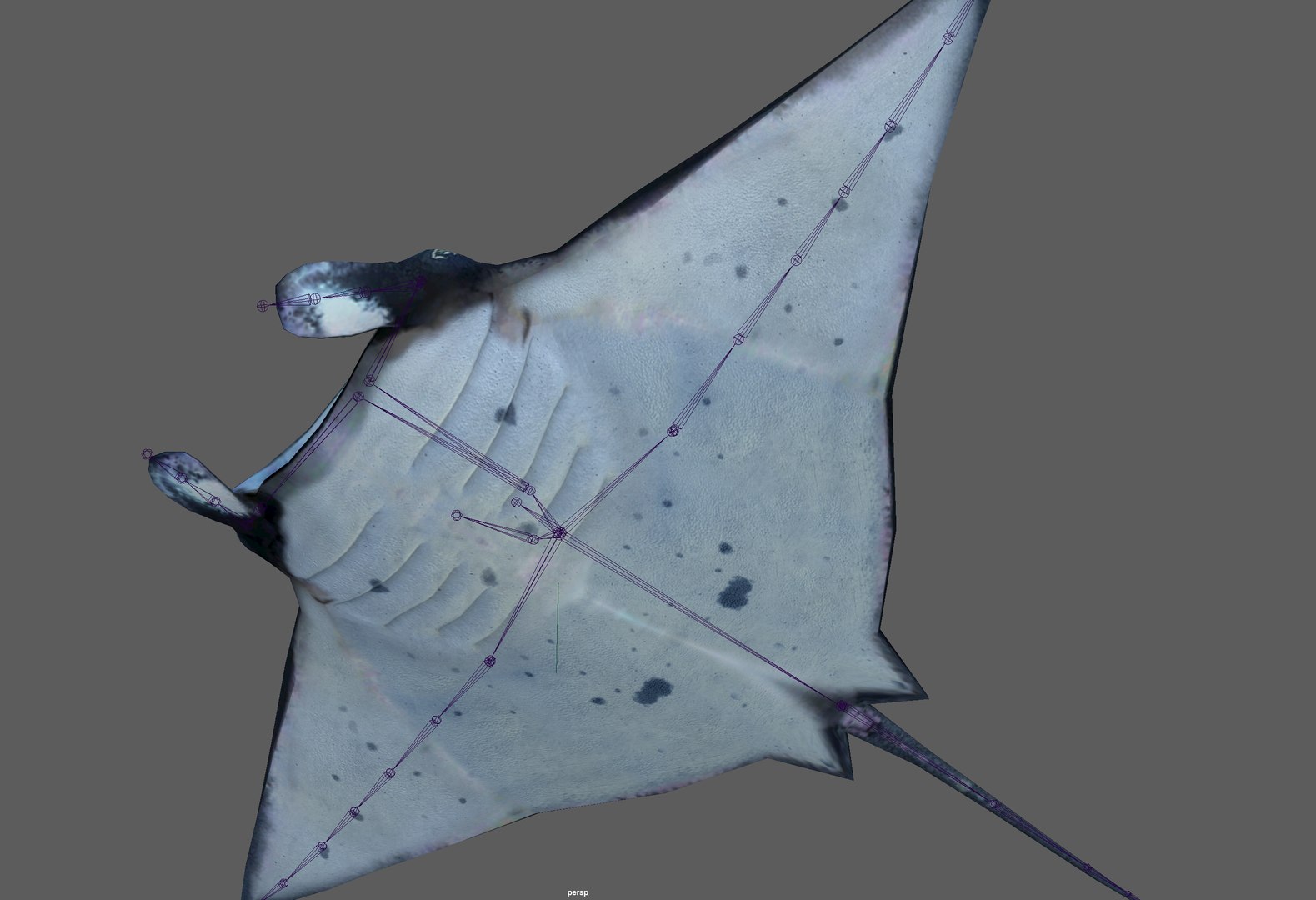Manta Ray Rigged 3D model - TurboSquid 1895089