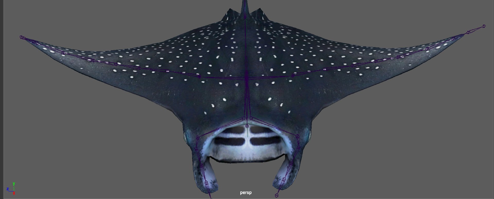 Manta Ray Rigged 3D model - TurboSquid 1895089