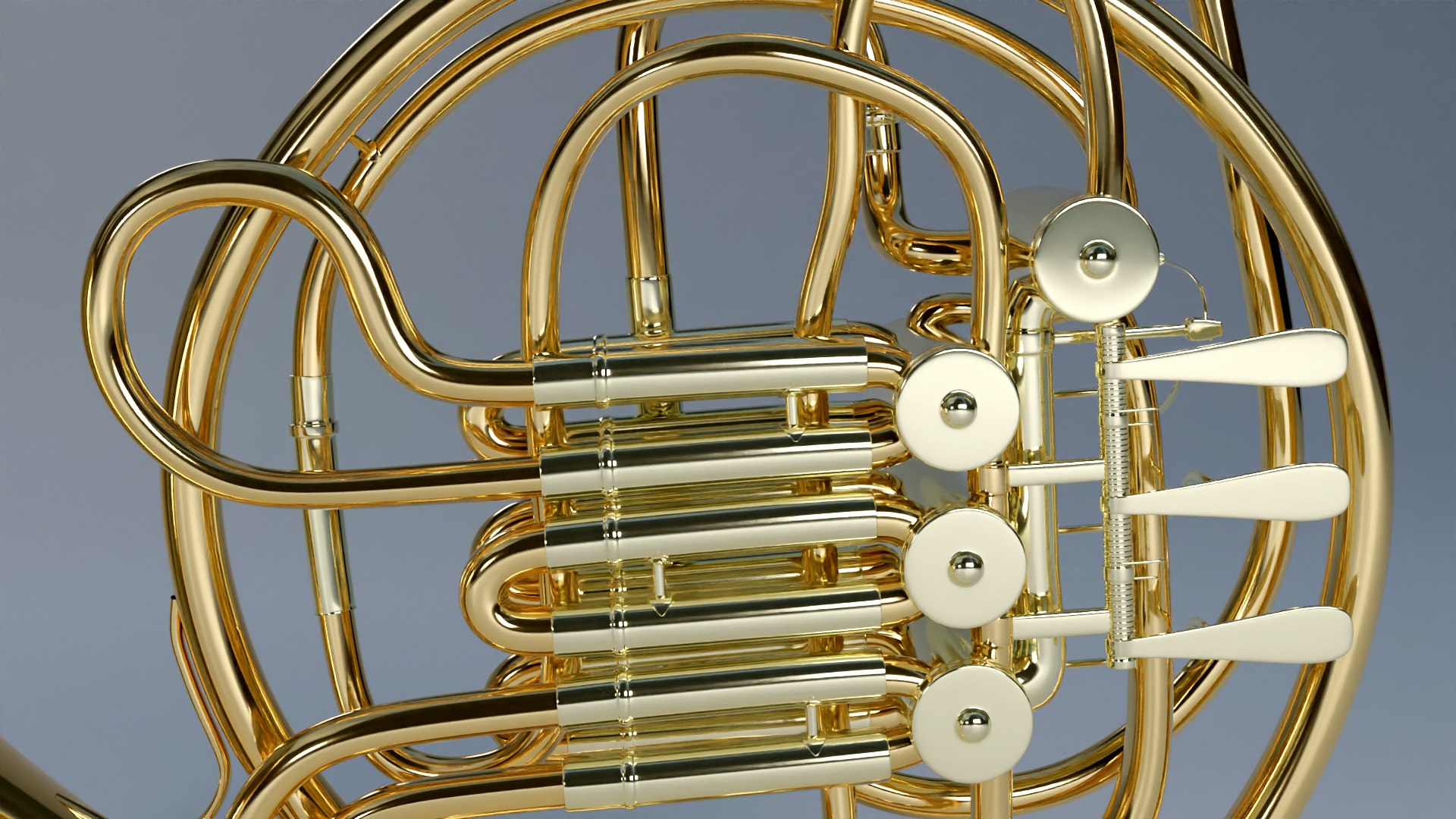 French Horn 3D Model - TurboSquid 2089432
