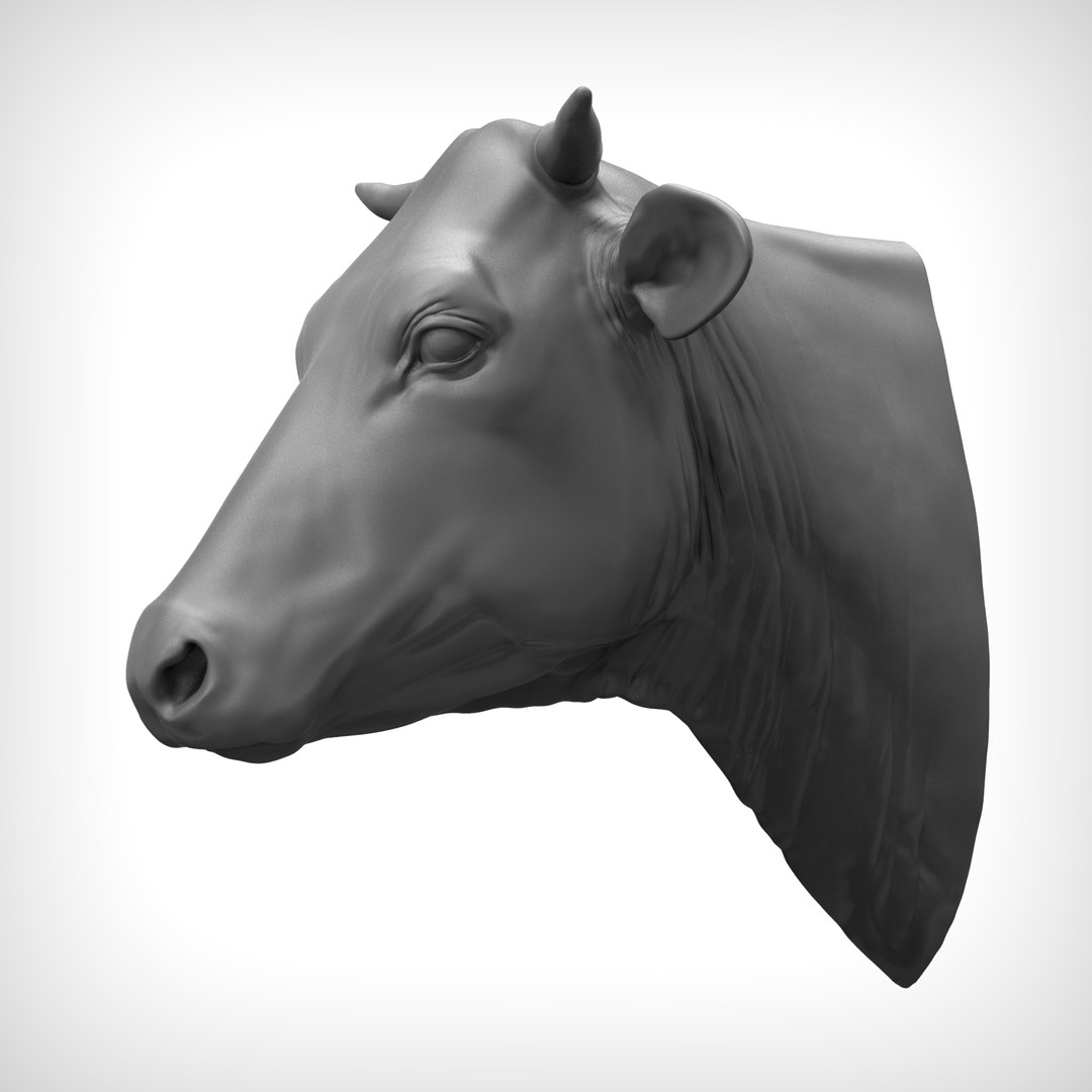 Cow Head 3D Model - TurboSquid 1205790