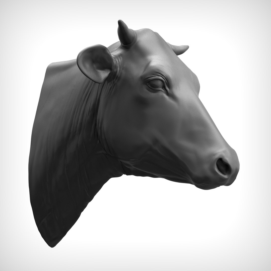 Cow Head 3D Model - TurboSquid 1205790