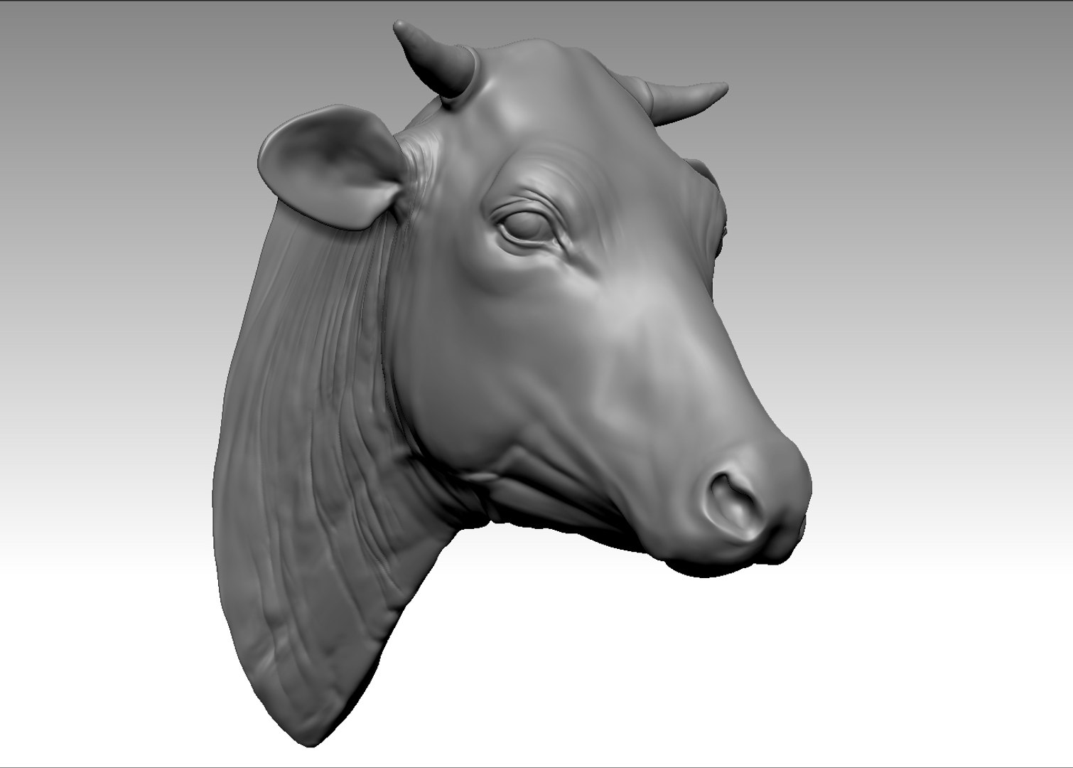 Cow Head 3D Model - TurboSquid 1205790