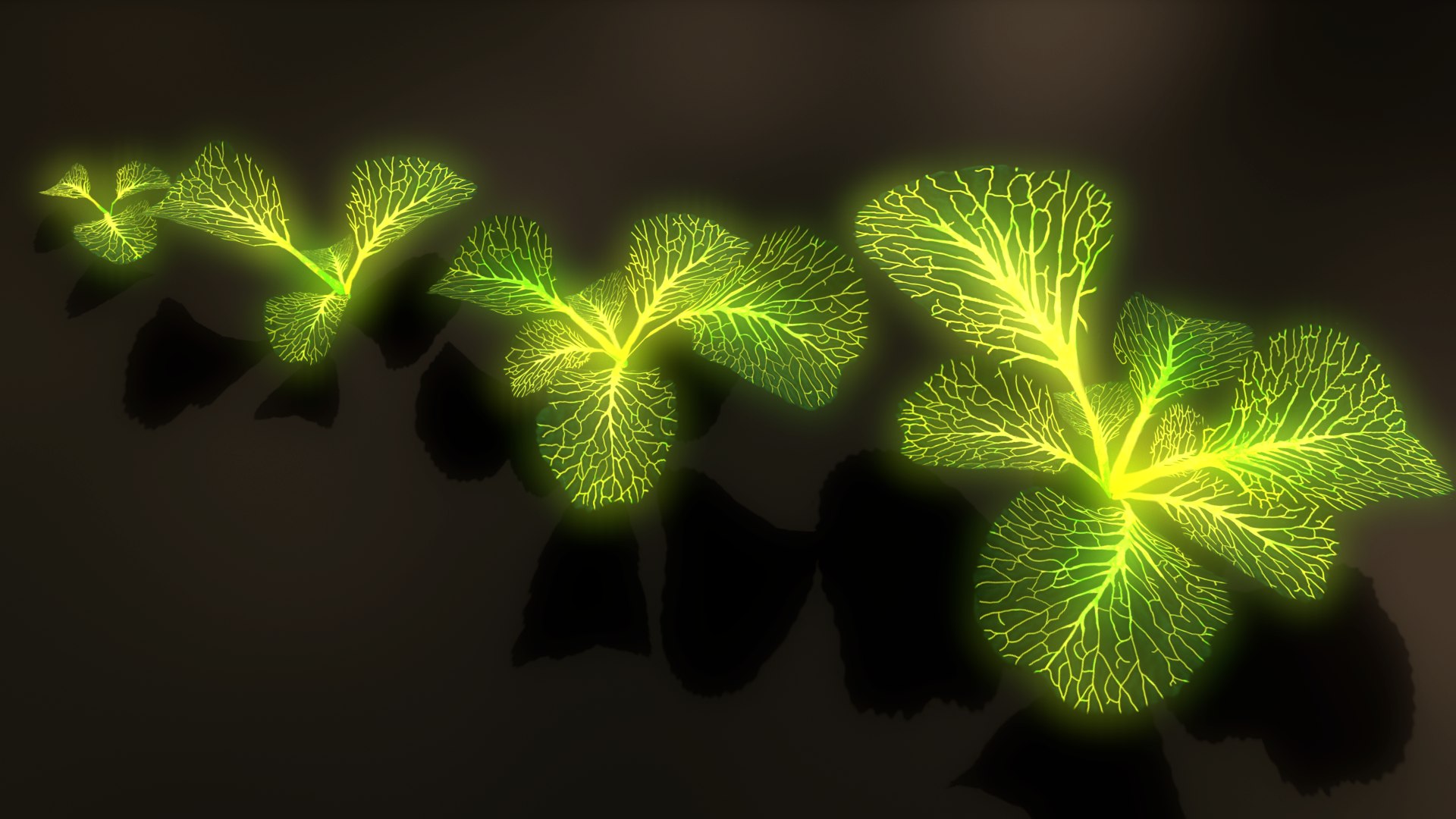 3D magic cabbage - TurboSquid 1345406
