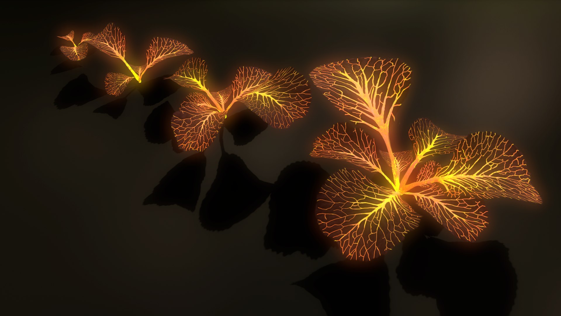 3D magic cabbage - TurboSquid 1345406