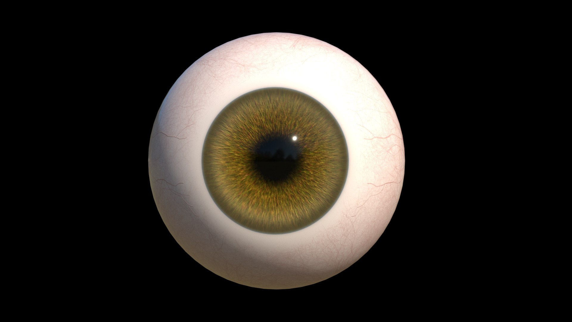 Realistic Human Eye 3D Model - TurboSquid 1800142