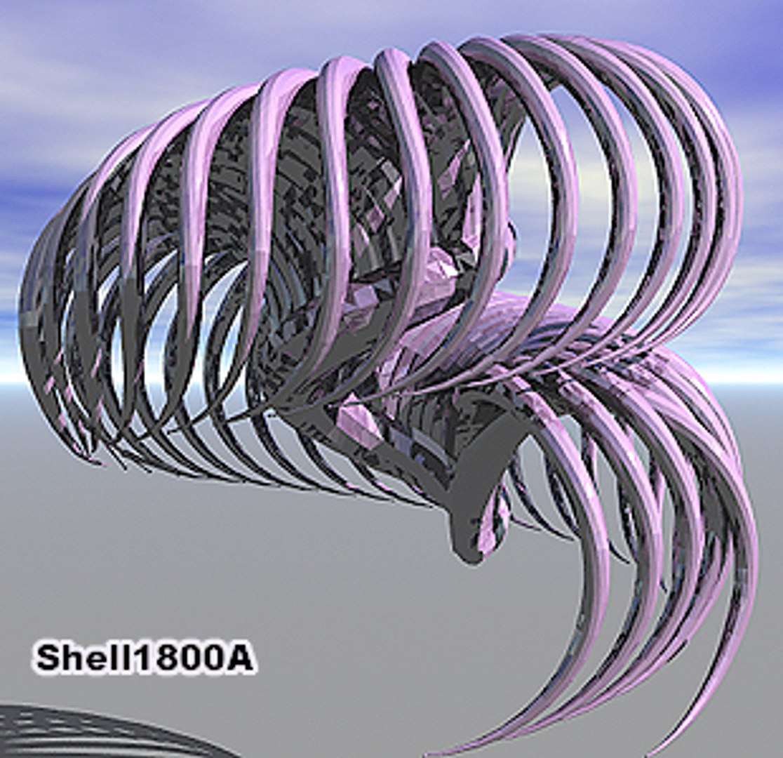 3d shell skelton