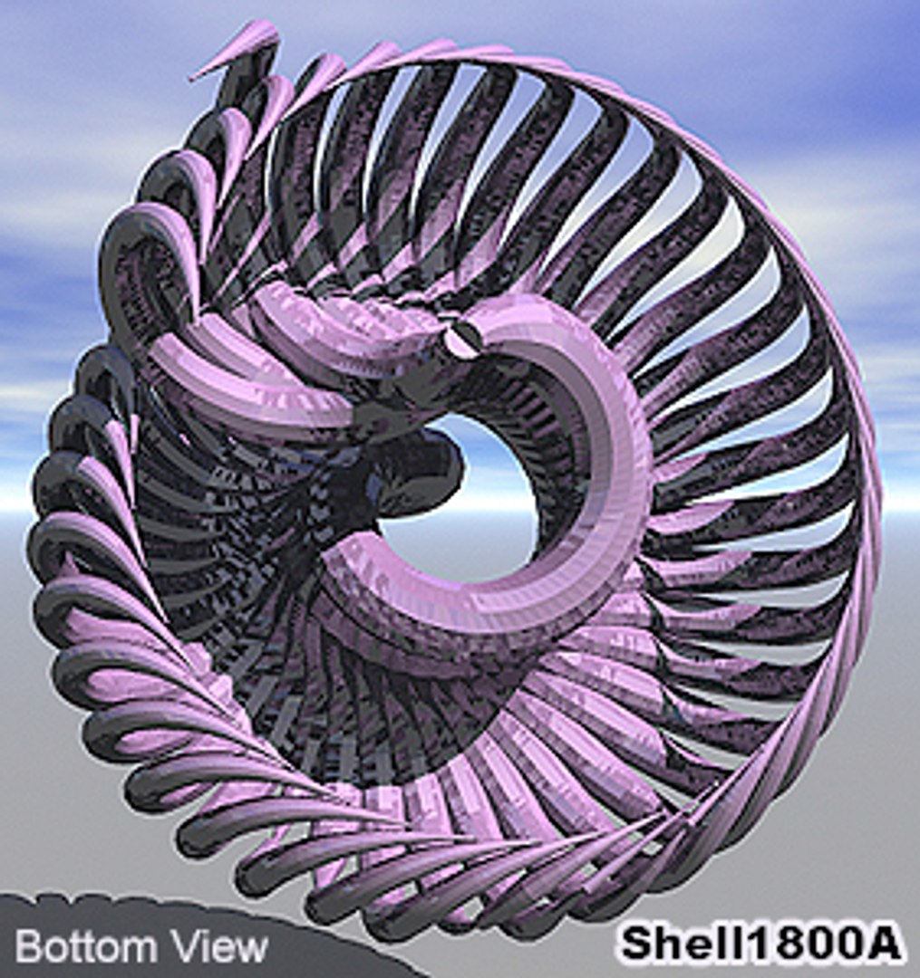3d shell skelton