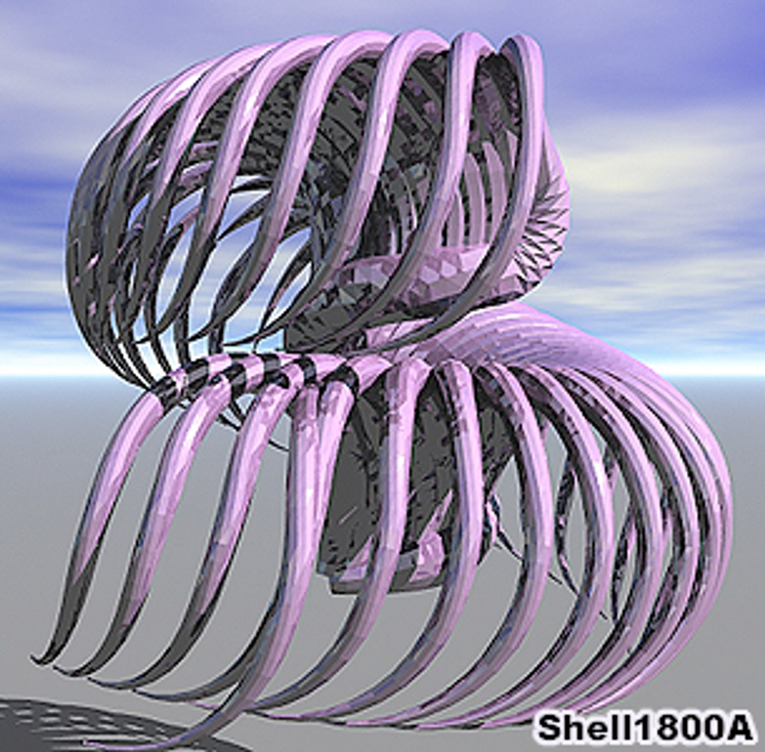 3d shell skelton