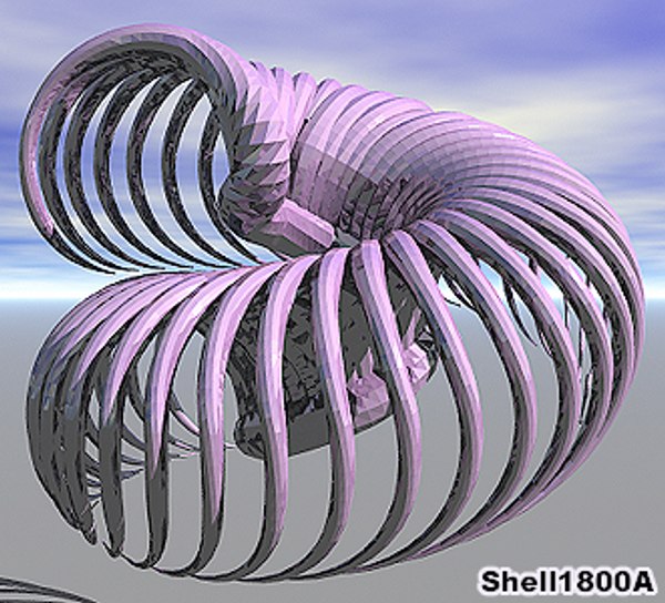 3d model shell