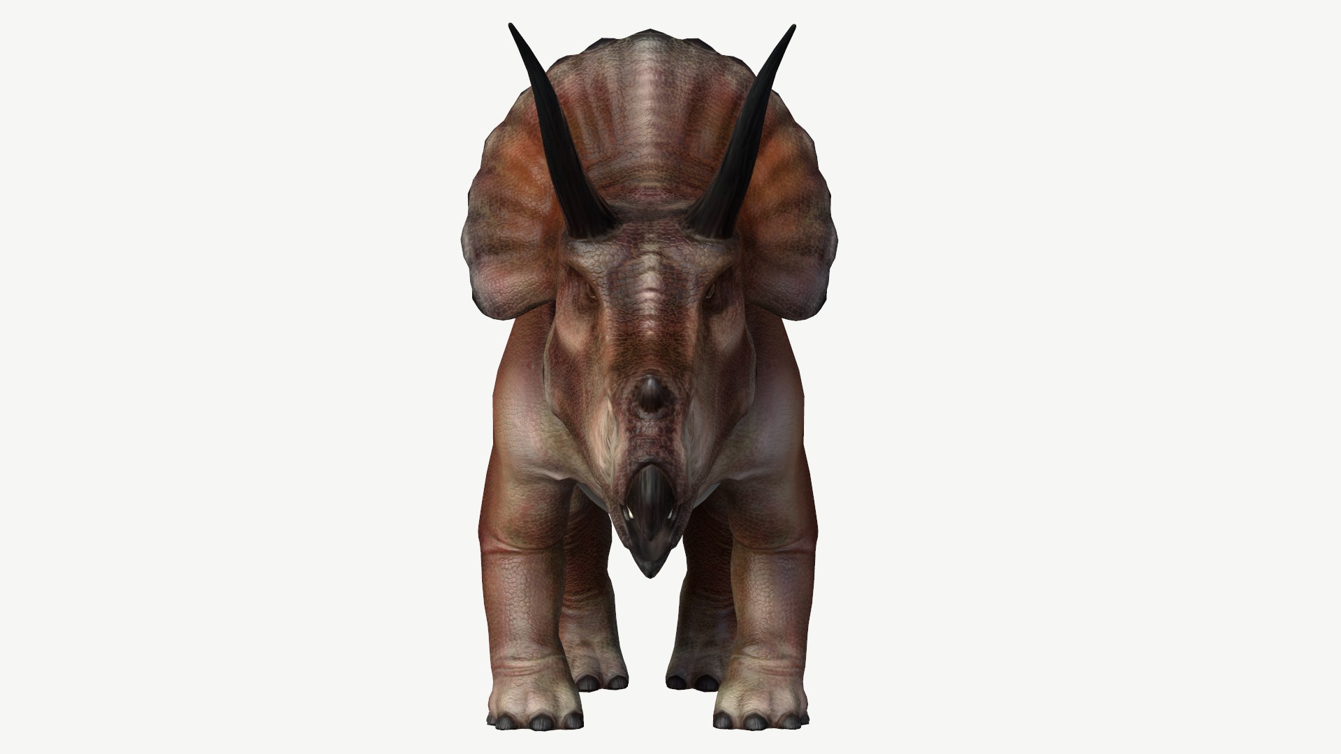 3d Model Triceratops