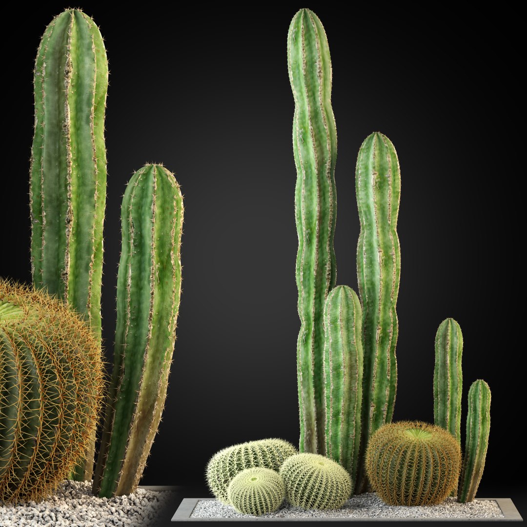 3D Plant - TurboSquid 1528428