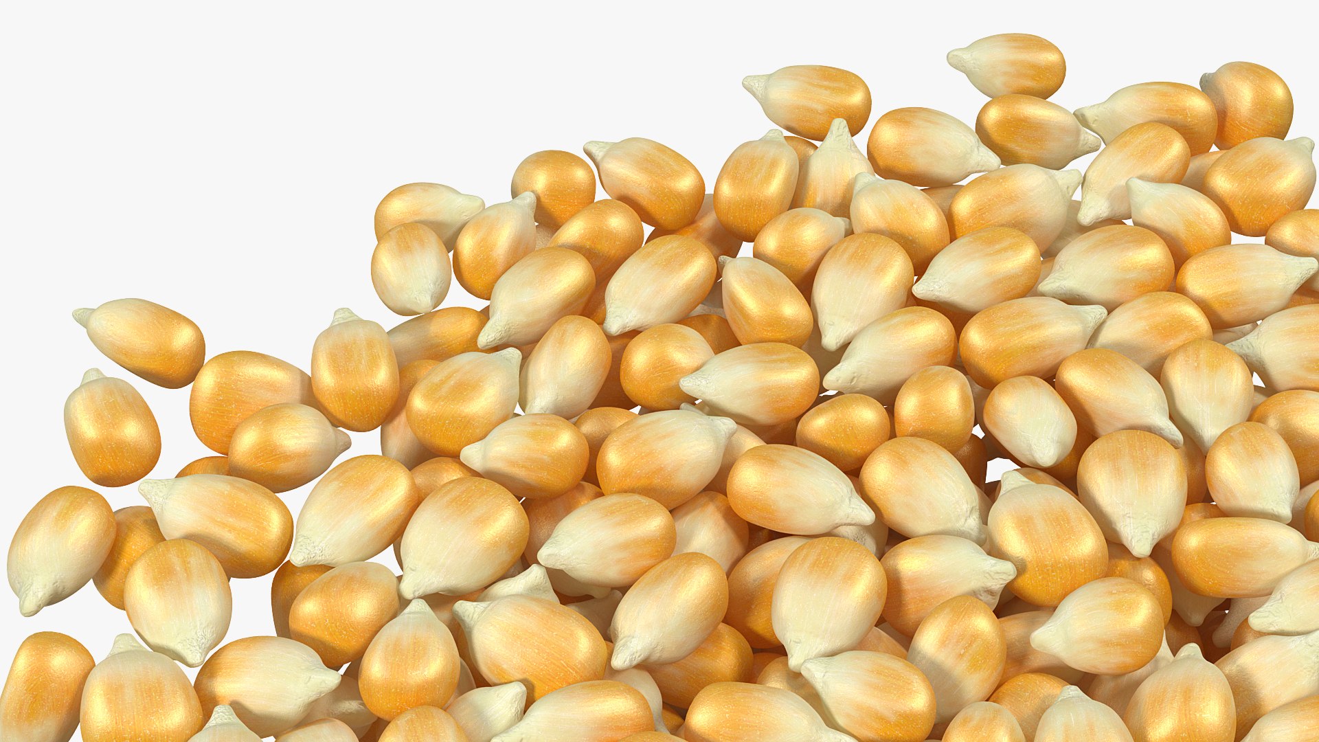 Corn Seeds Pile 3D Model - TurboSquid 1546107