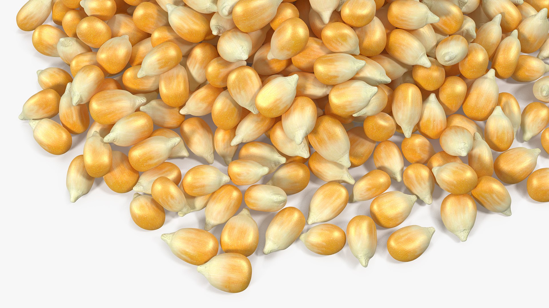 Corn Seeds Pile 3D Model - TurboSquid 1546107
