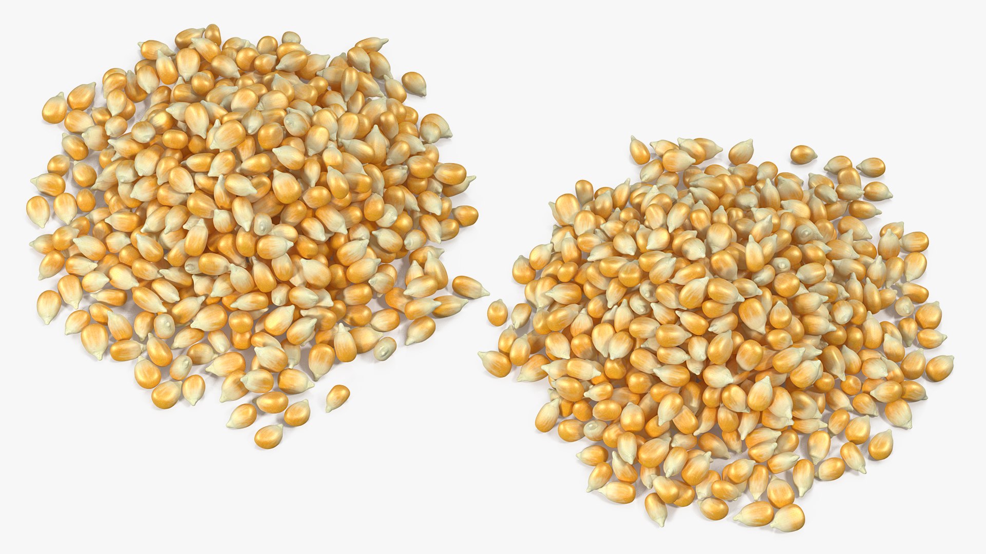 Corn Seeds Pile 3D Model - TurboSquid 1546107