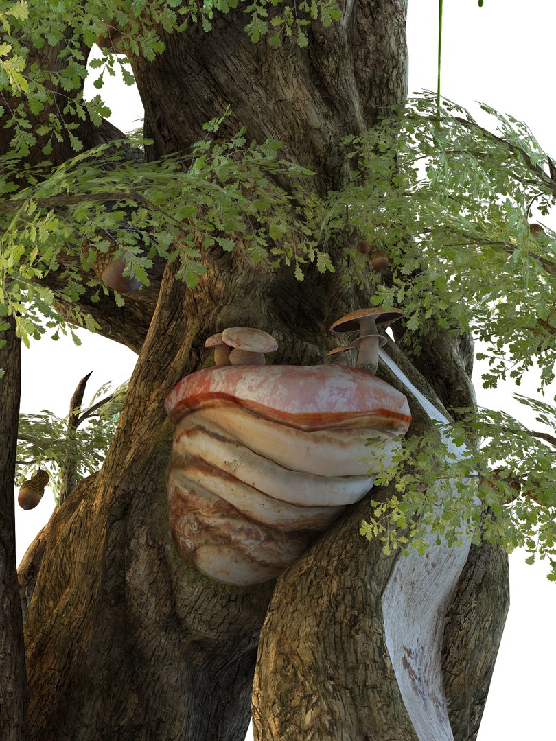 3d tree fairy tale model