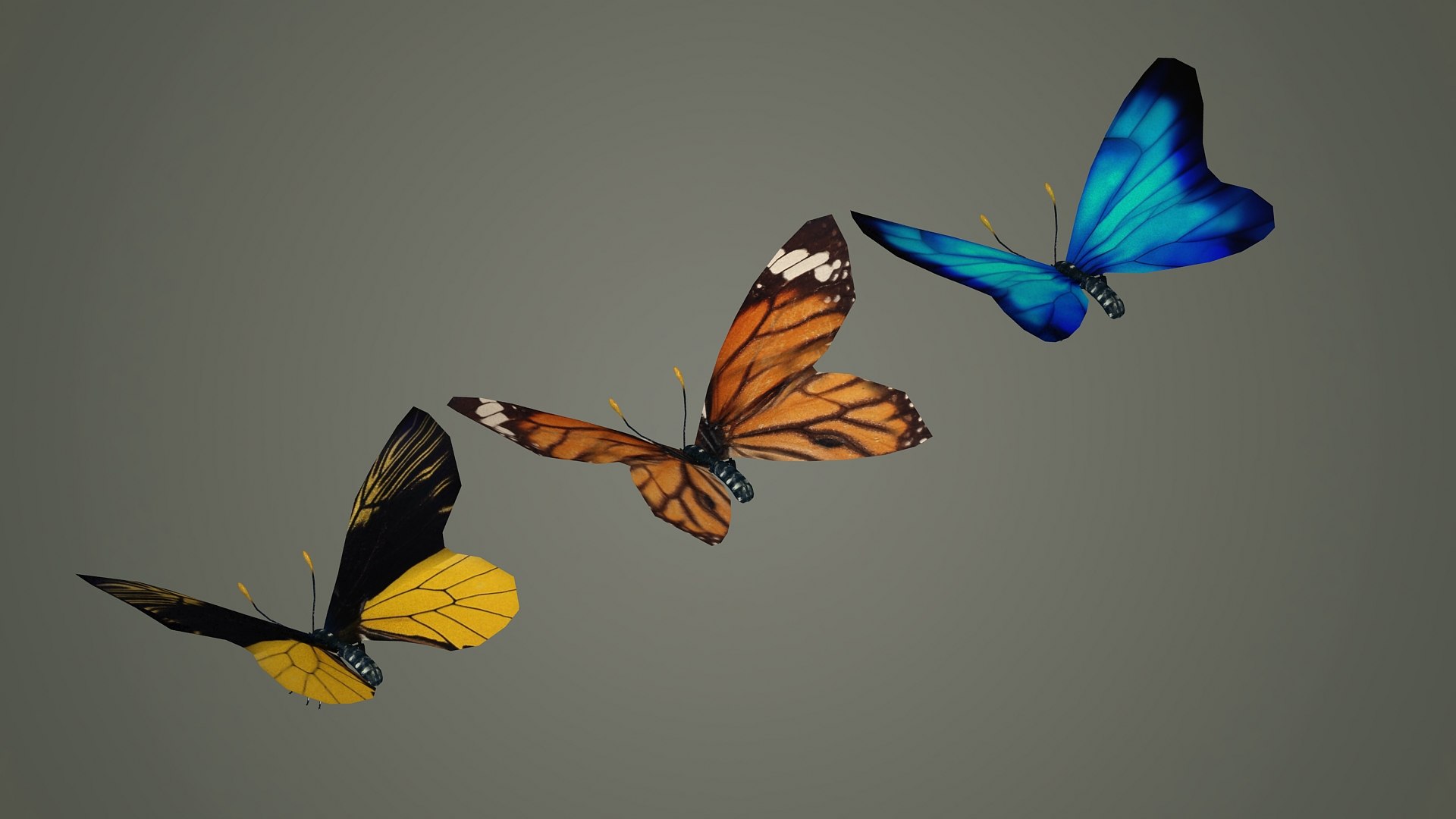 Butterfly Antenna Wing Insect Fly Wildlife Summer Sky Model ...