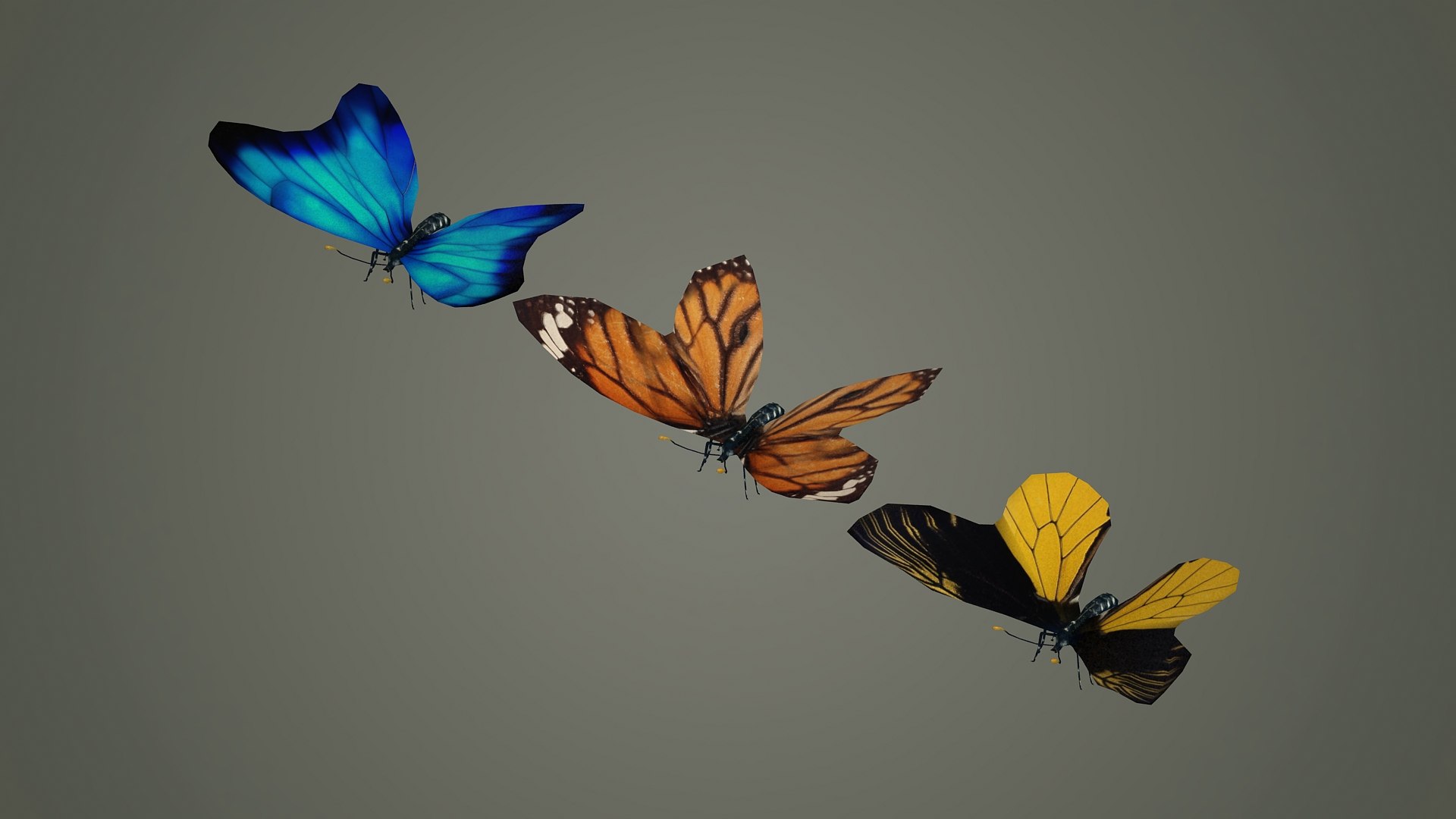 Butterfly Antenna Wing Insect Fly Wildlife Summer Sky Model ...