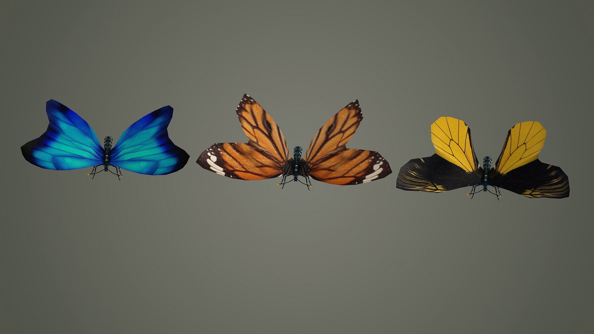 Butterfly Antenna Wing Insect Fly Wildlife Summer Sky Model ...