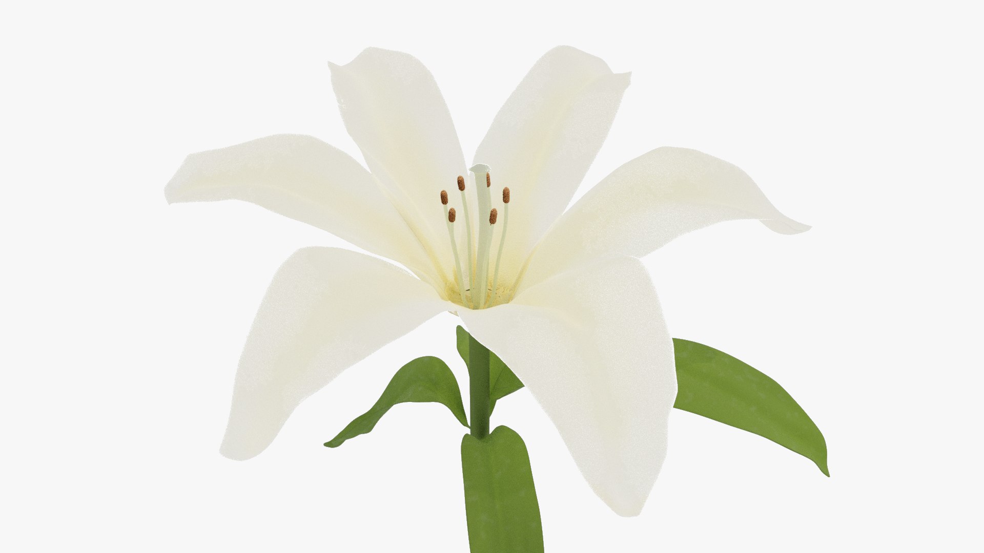 3D Flower Petals Model - TurboSquid 1451600