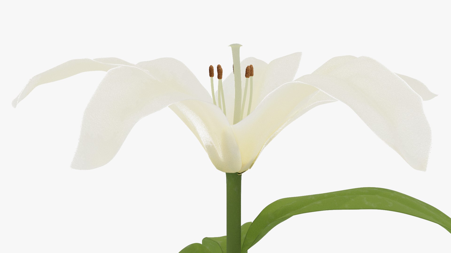 3D Flower Petals Model - TurboSquid 1451600