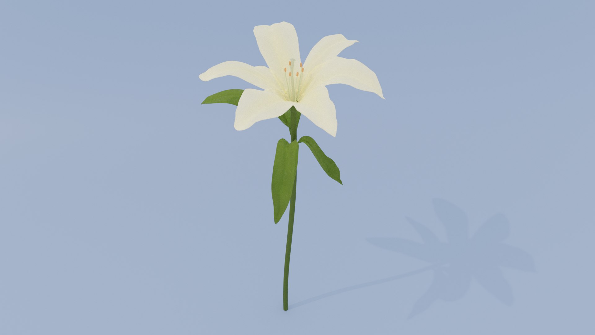 3D Flower Petals Model - TurboSquid 1451600