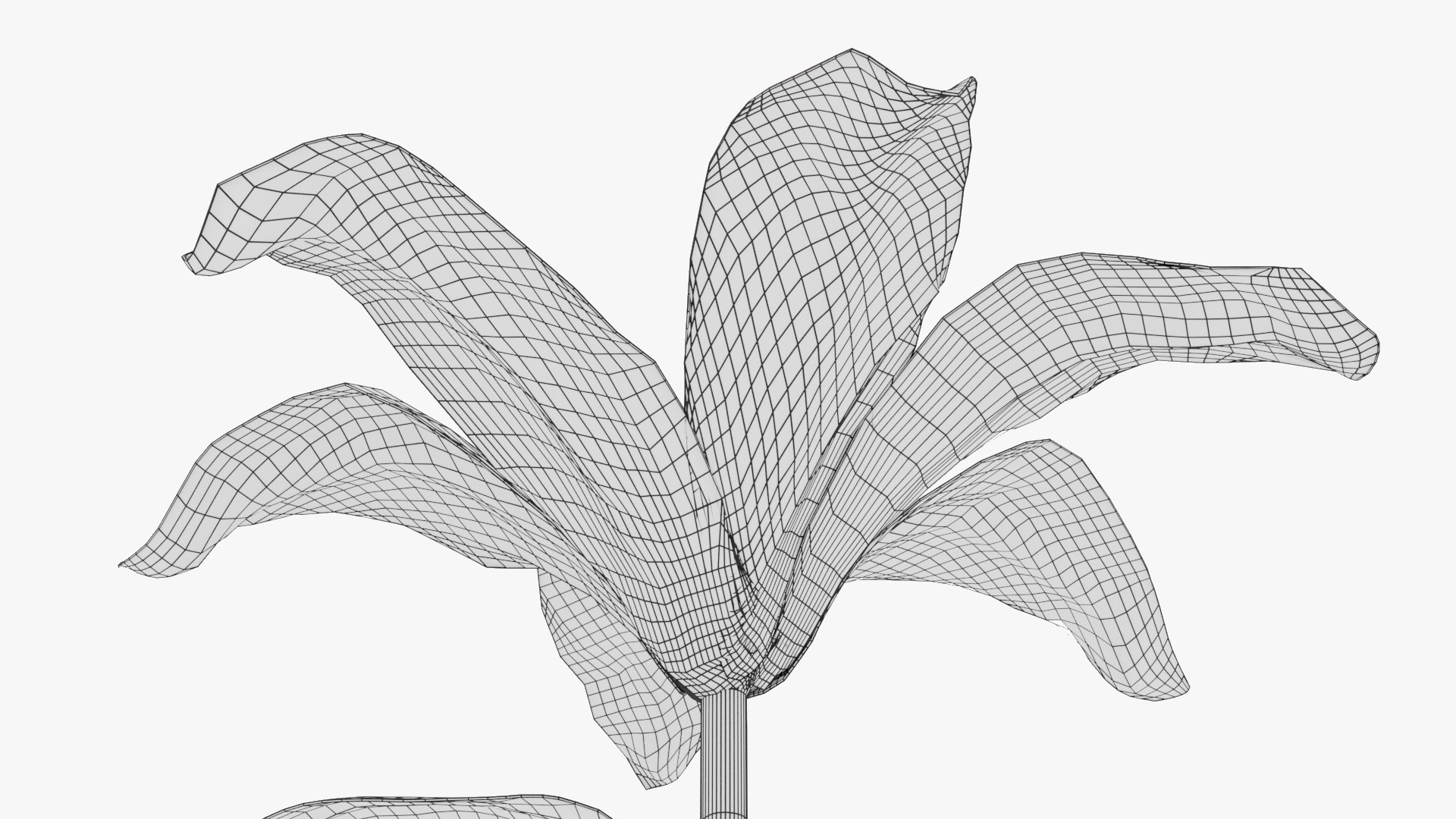 3D Flower Petals Model - TurboSquid 1451600