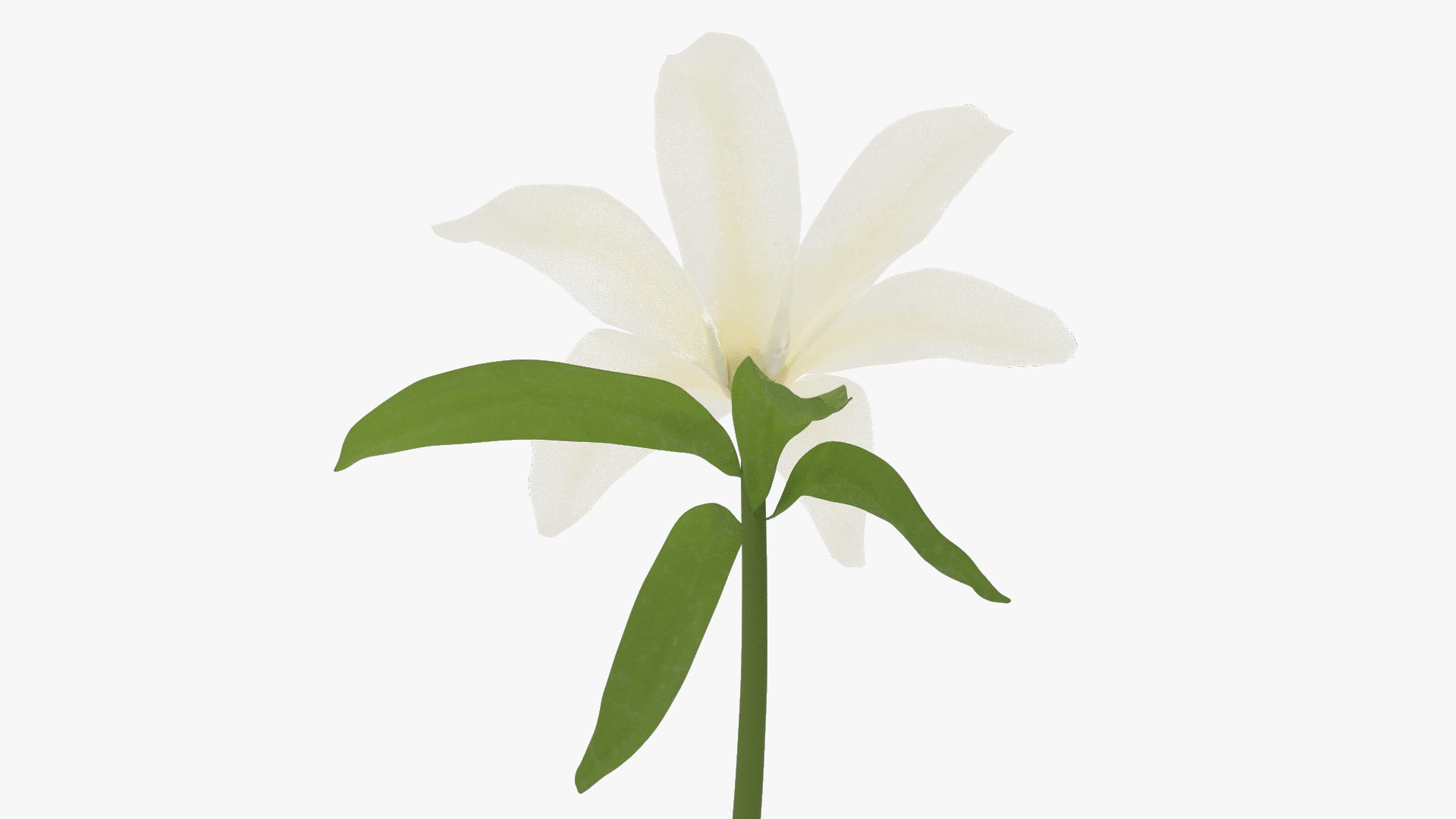 3D Flower Petals Model - TurboSquid 1451600