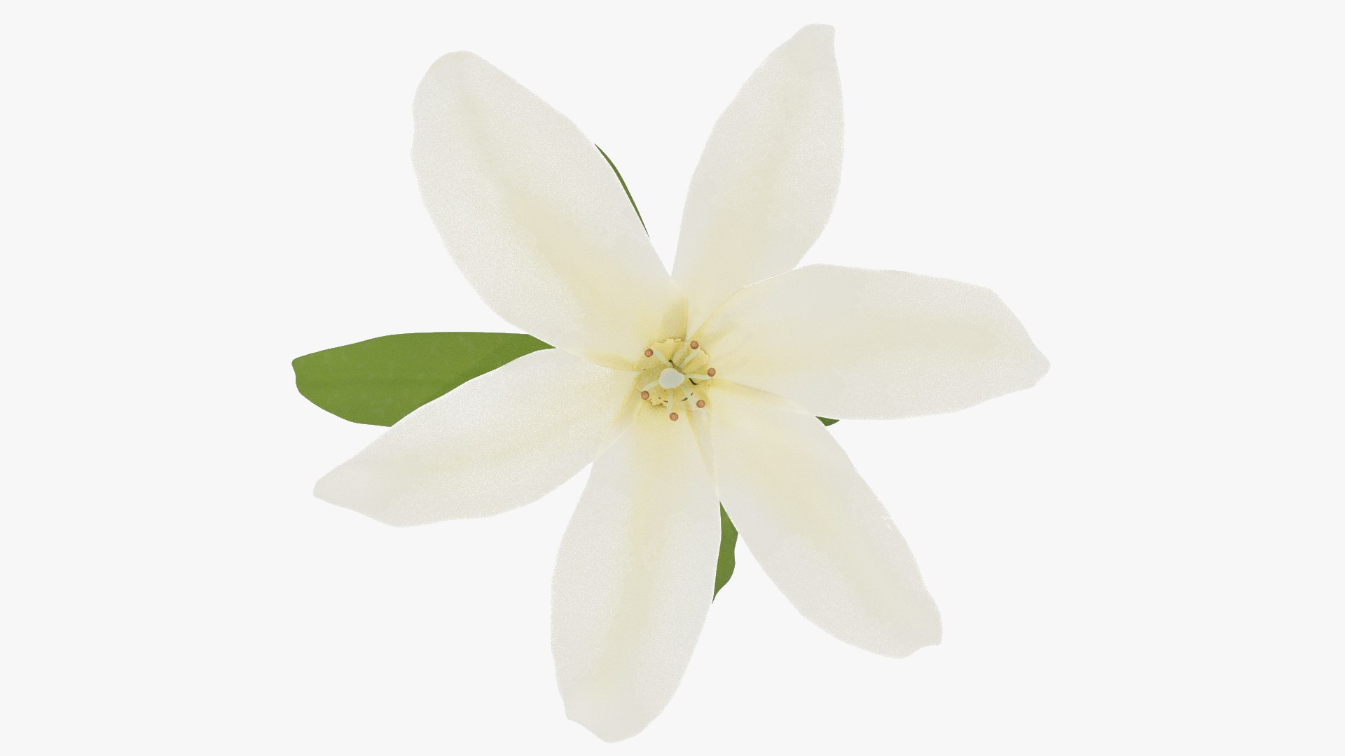 3D Flower Petals Model - TurboSquid 1451600