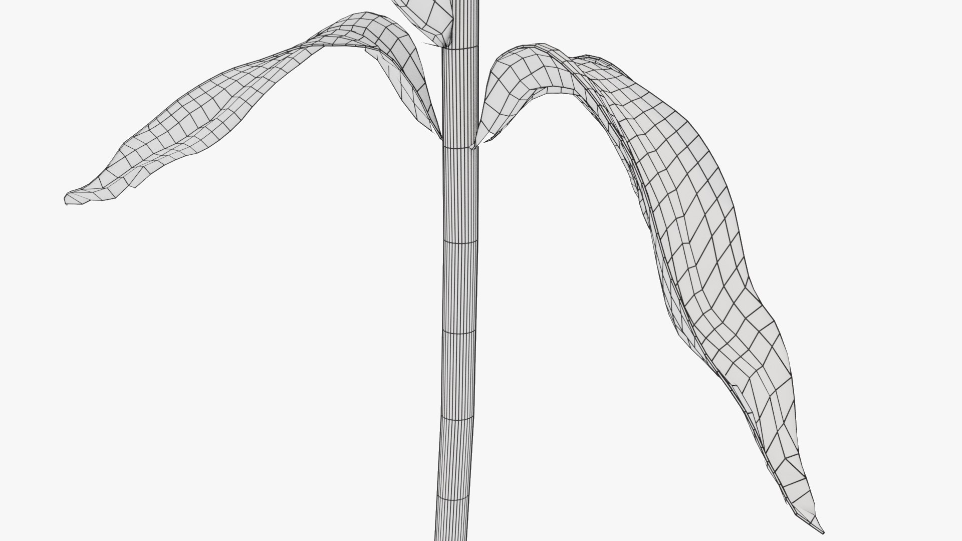 3D Flower Petals Model - TurboSquid 1451600