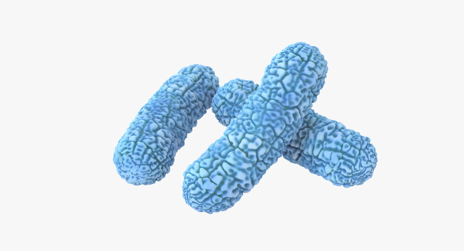 Burkholderia cepacia bacteria model - TurboSquid 1295559