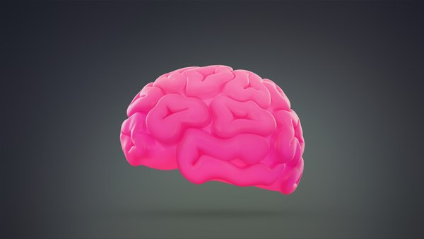 3D cute cartoon brain - TurboSquid 1519407