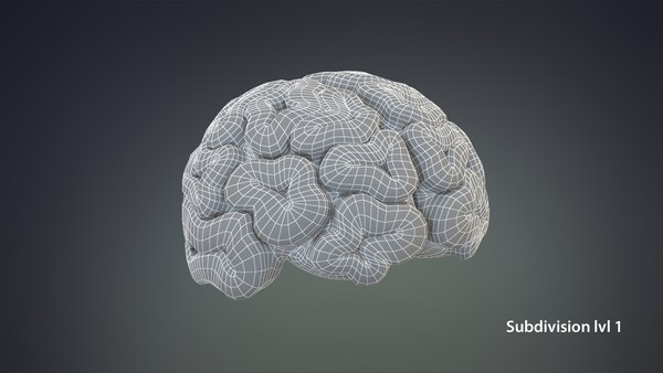 3D cute cartoon brain - TurboSquid 1519407