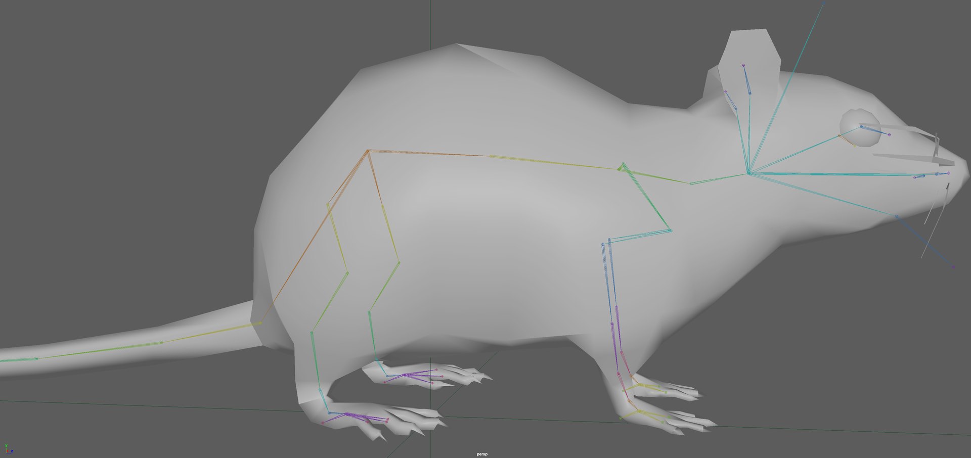3D Rat Low Poly Rig Model - TurboSquid 1998275