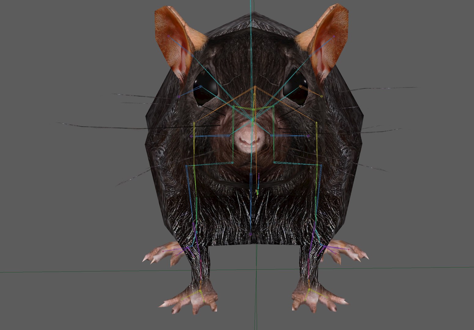 3D Rat Low Poly Rig Model - TurboSquid 1998275