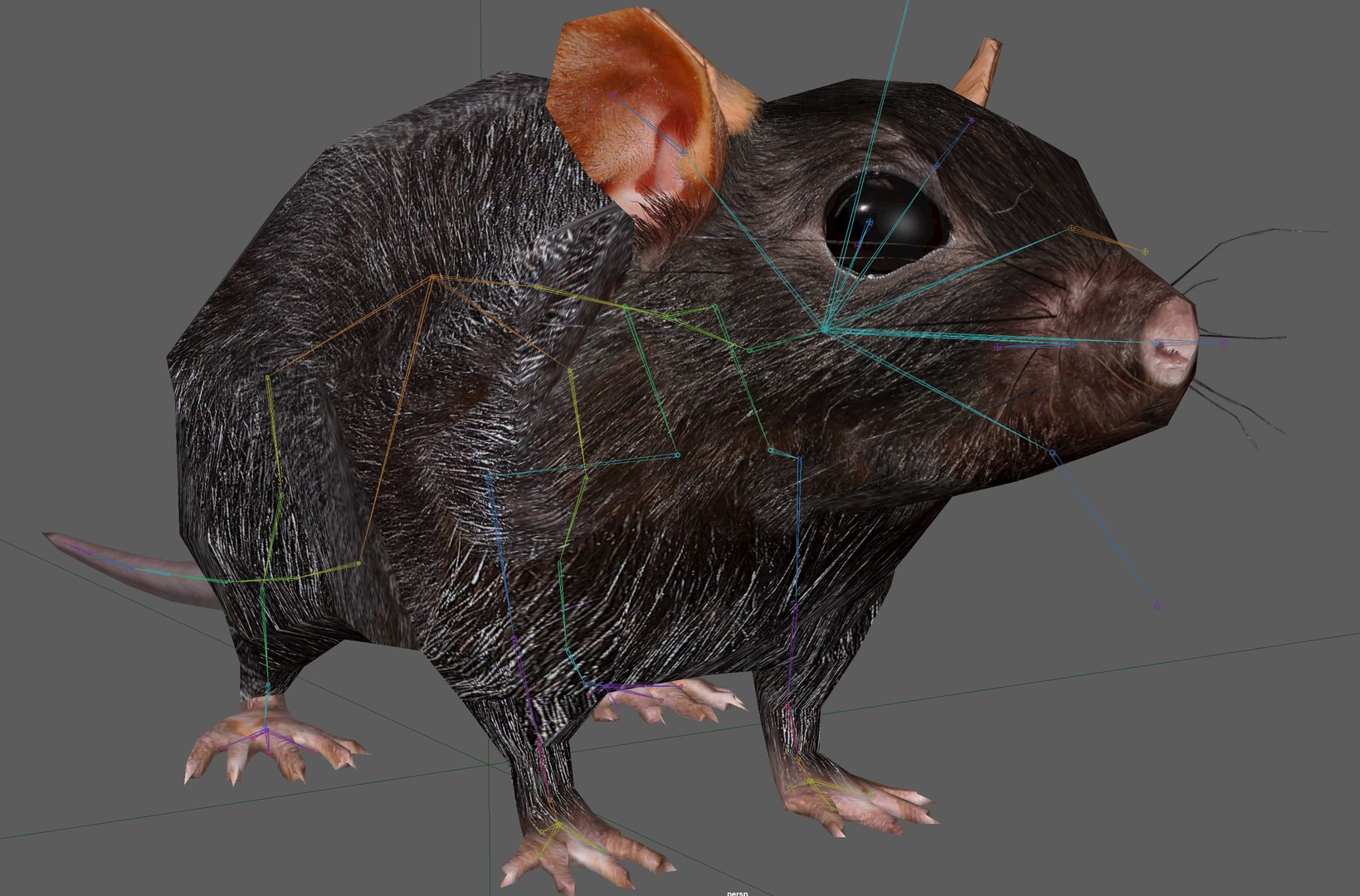 3D Rat Low Poly Rig Model - TurboSquid 1998275