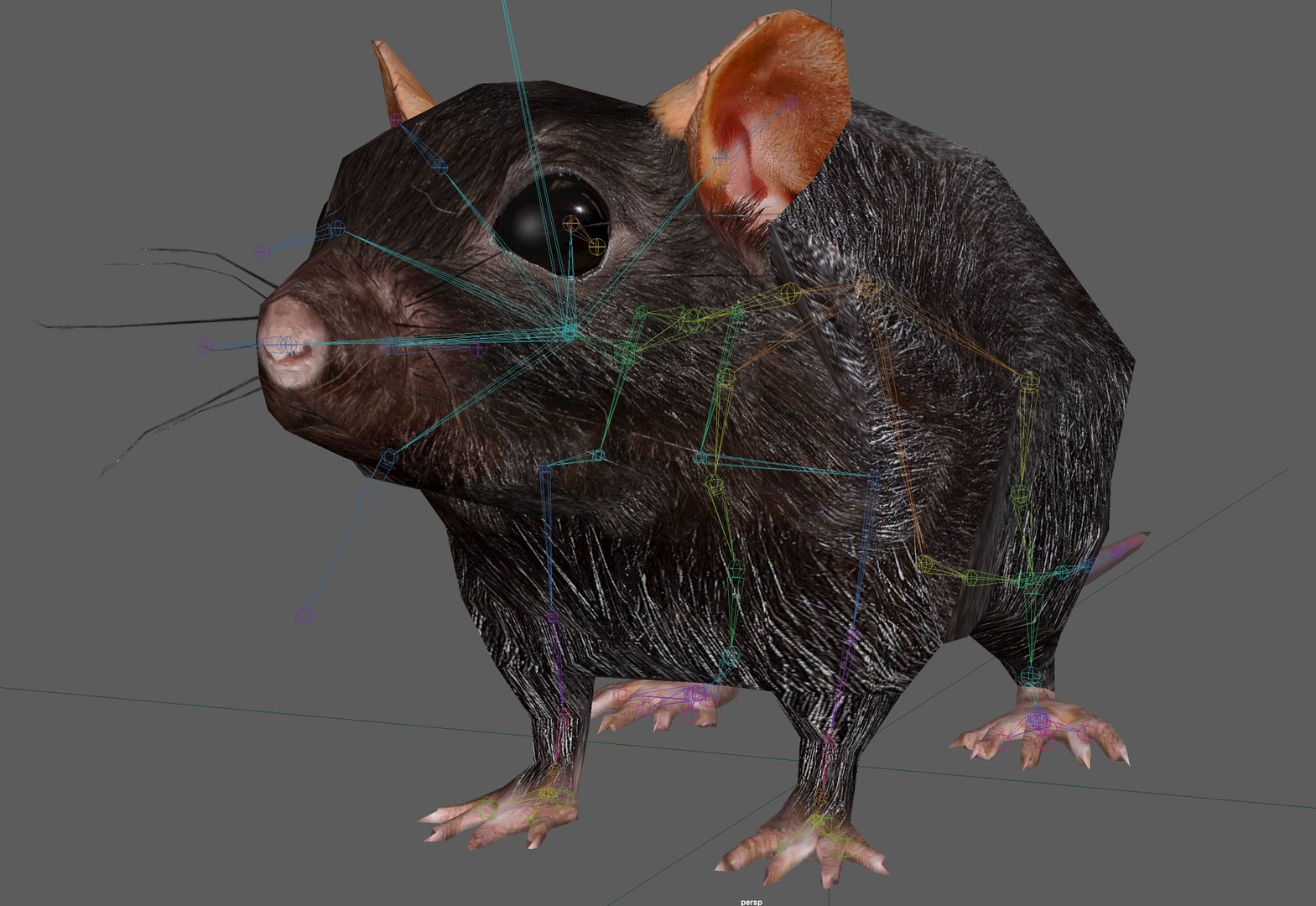 3D Rat Low Poly Rig Model - TurboSquid 1998275