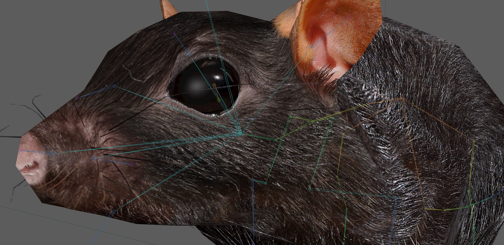 3D Rat Low Poly Rig Model - TurboSquid 1998275