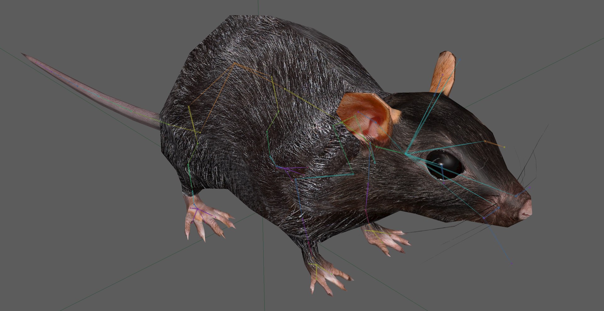3D Rat Low Poly Rig Model - TurboSquid 1998275